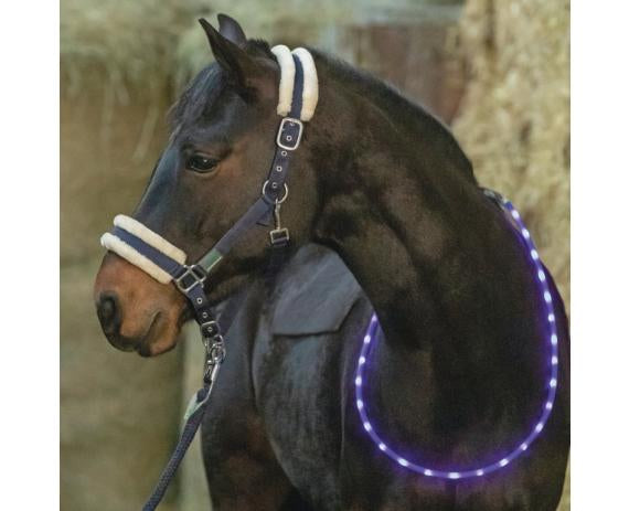 LED Horse Neck Collar – Polished Ponies Ltd
