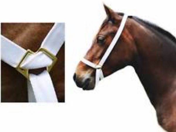 White Show Halter 1" or 3/4" - Polished Ponies Ltd